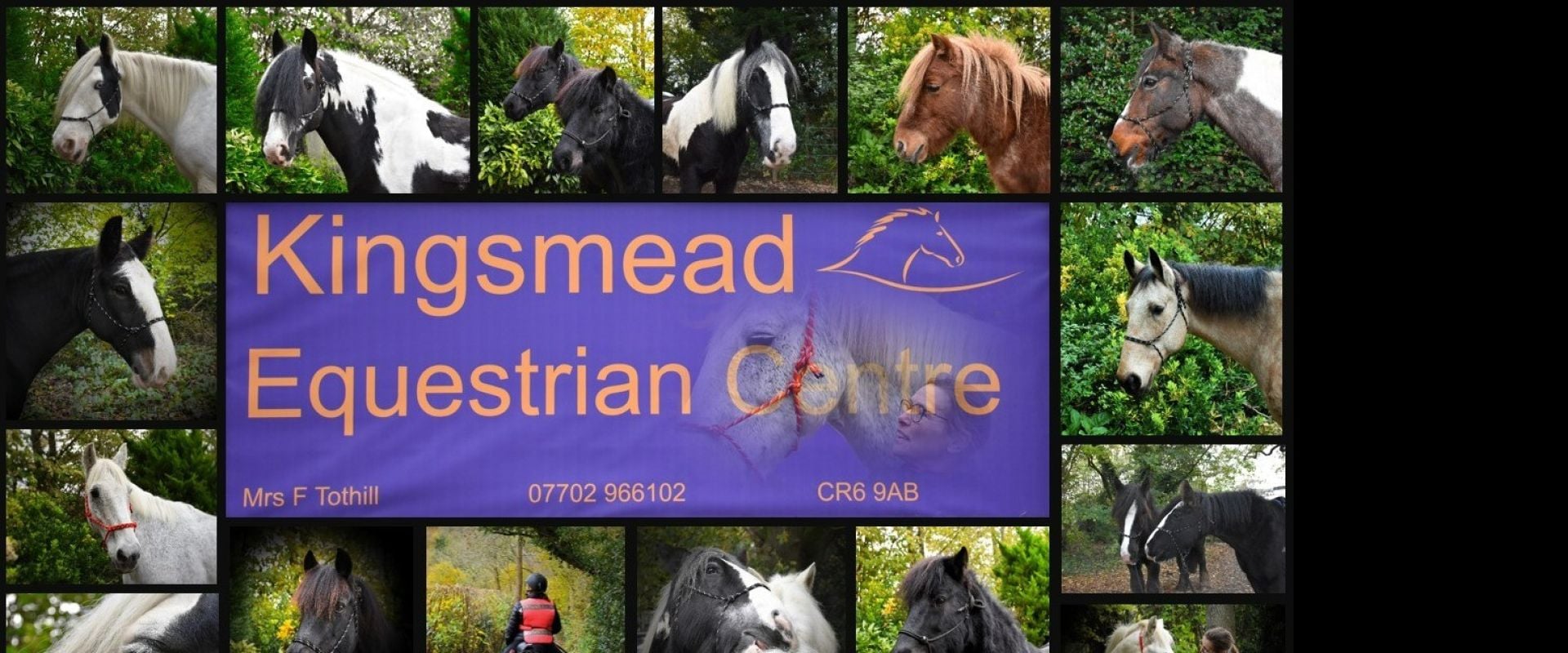 Hopoti - Kingsmead Equestrian Centre - Book your riding lessons