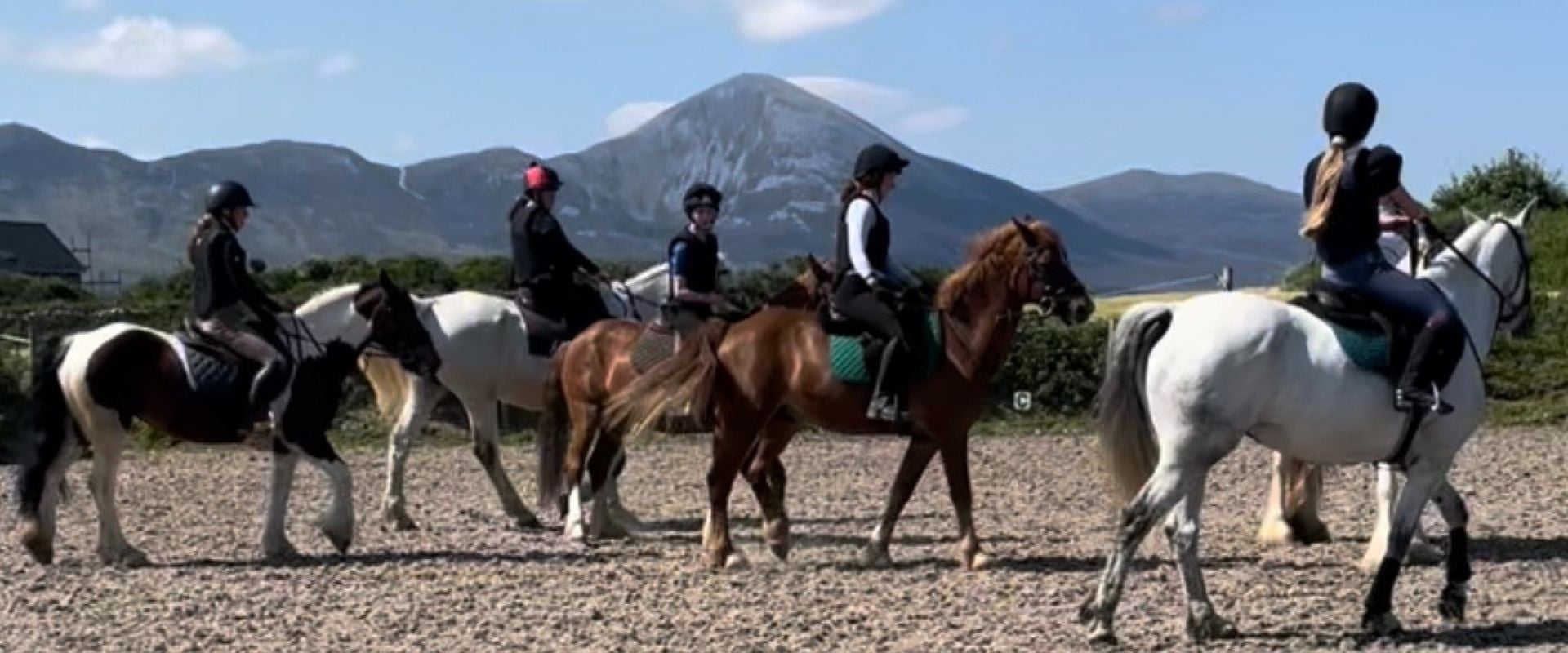 Hopoti - Carrowholly Stables & Trekking Centre - Boka dina ridlektioner