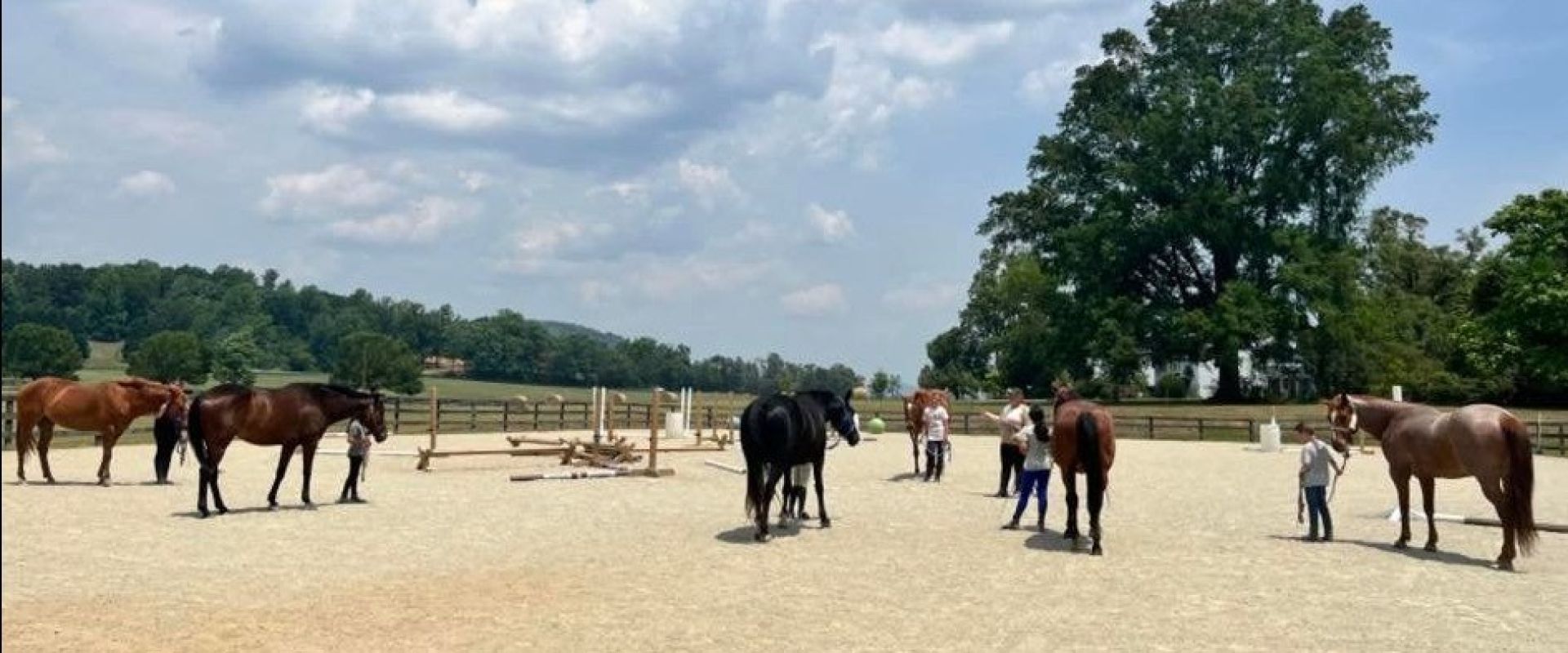 Hopoti - Double C Ranch LLC