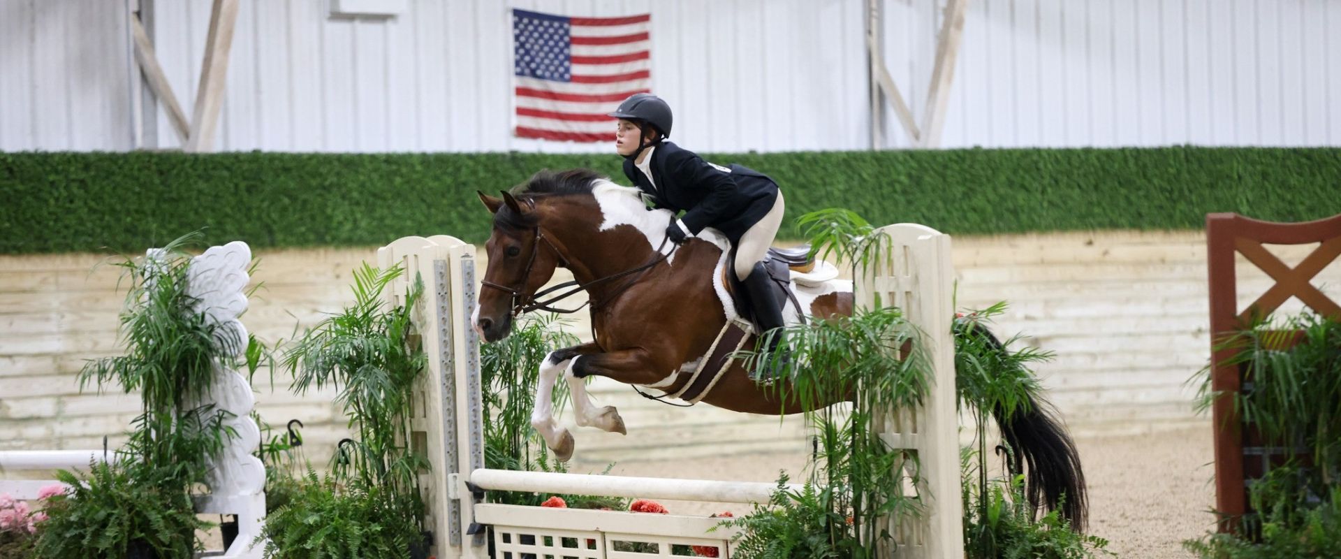 Hopoti - Cedar Spring Farm - Book your riding lessons