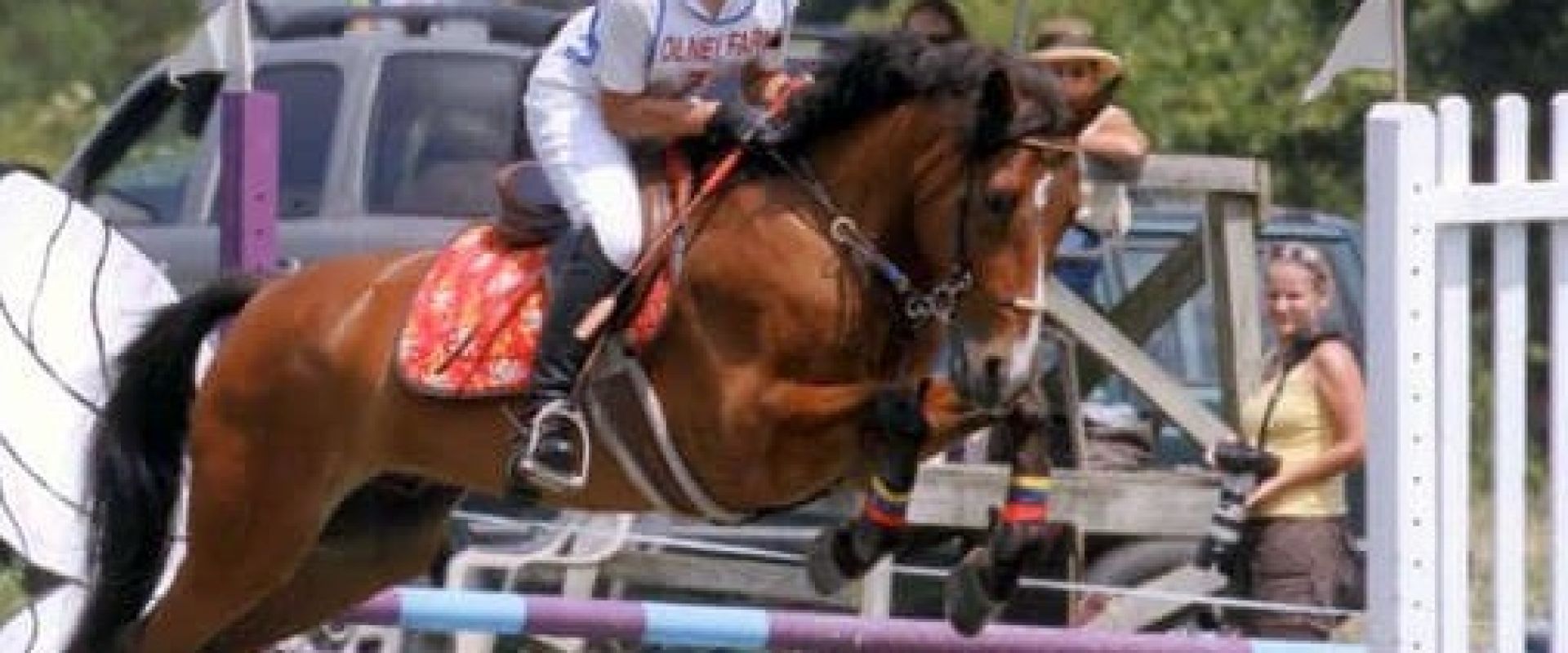 Hopoti - FMF Zack-A-Rooni