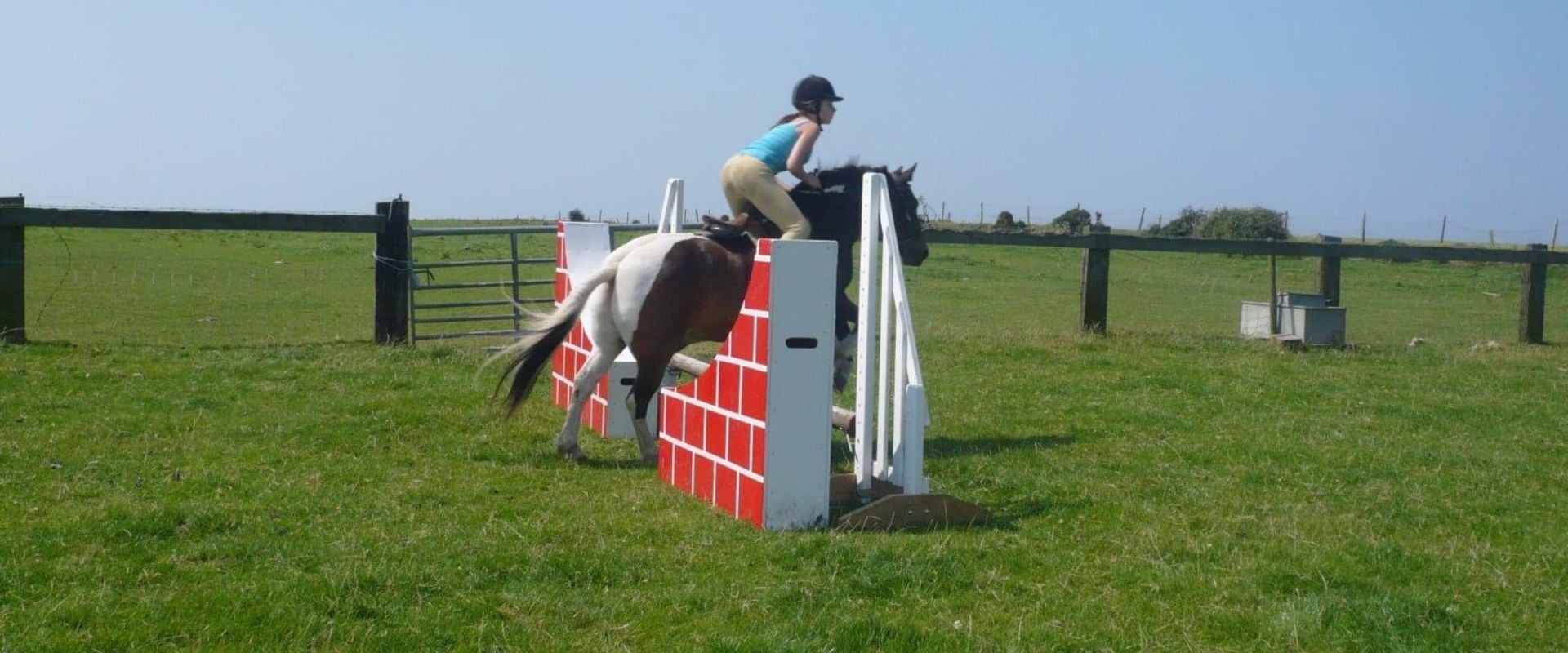 Hopoti - Seaview Riding School