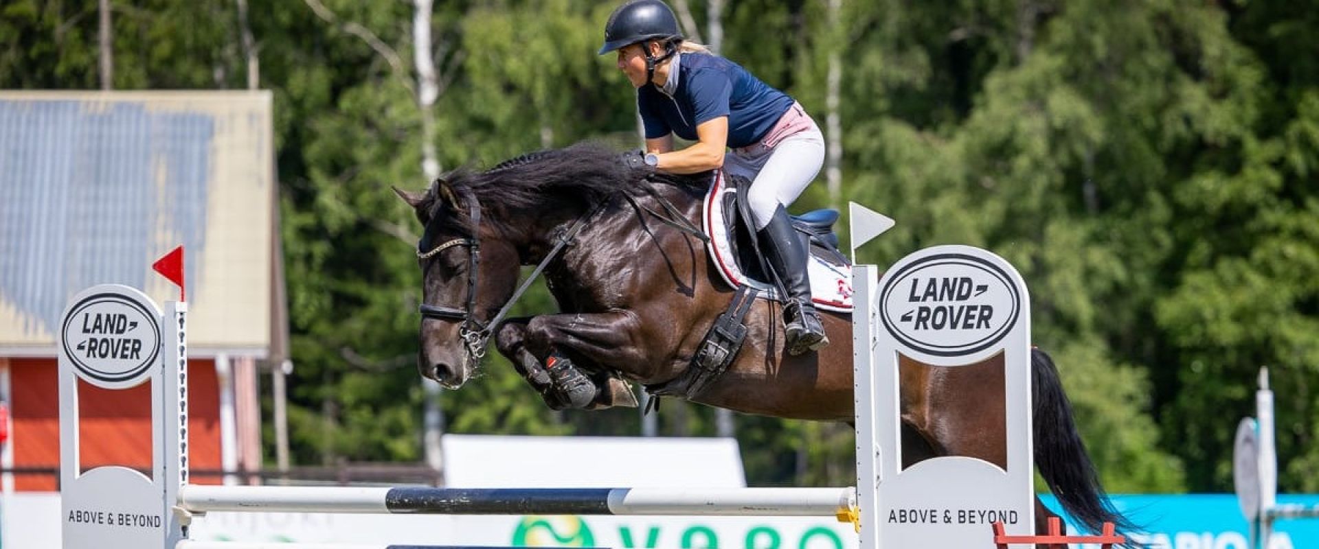 Hopoti - Ratsutalli-AR