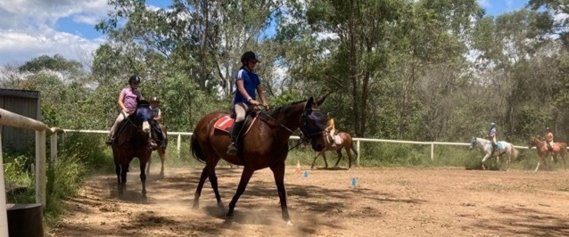 Hopoti - Moonlight Manor Horse Riding - Book your riding lessons