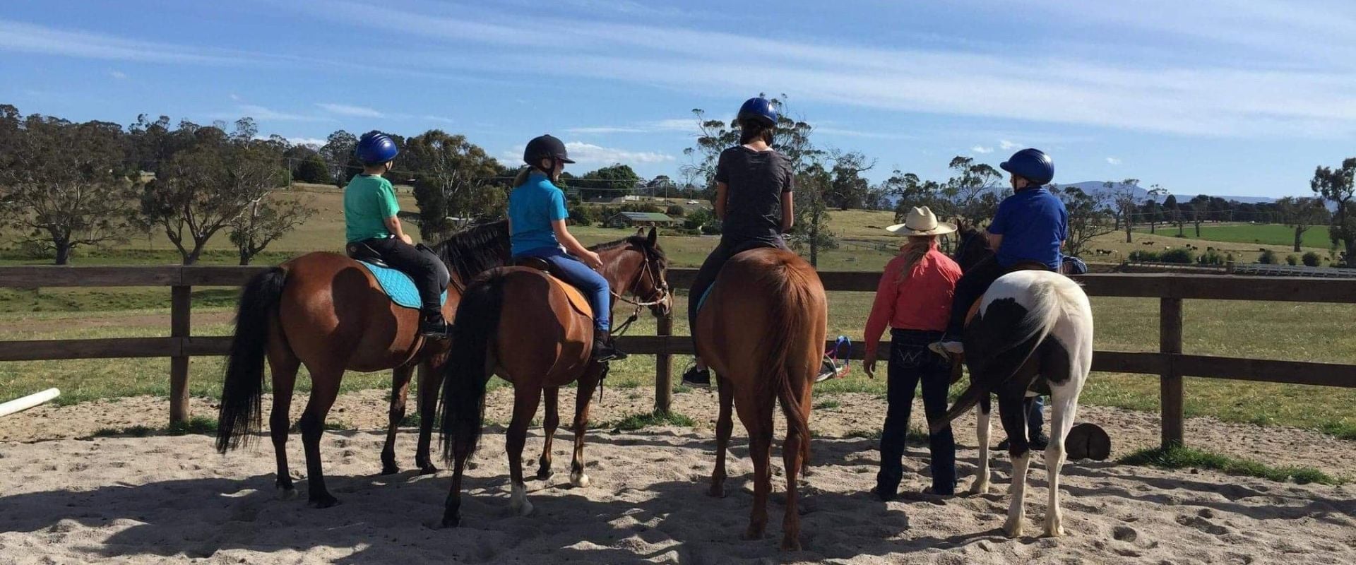 Hopoti - Junction Farm Equestrian Academy