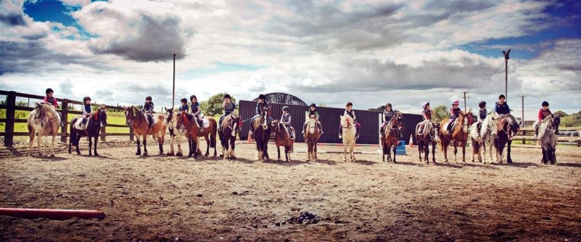 Hopoti - Athlone Equestrian Centre - Horses